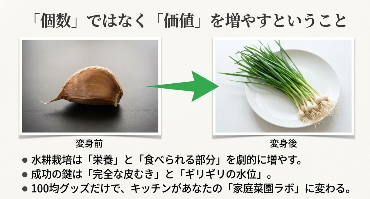 にんにくの水耕栽培で栄養と可食部が増える理由 - saien-Labo
